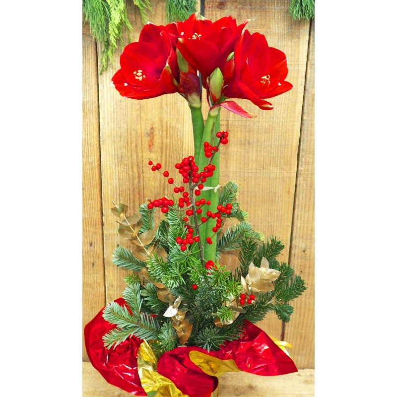 Bouquets du monde | Livraison de fleurs en 24h