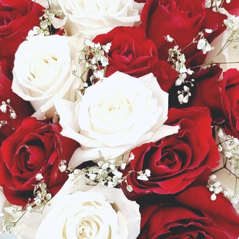 BOUQUET DE ROSES "WANDA"