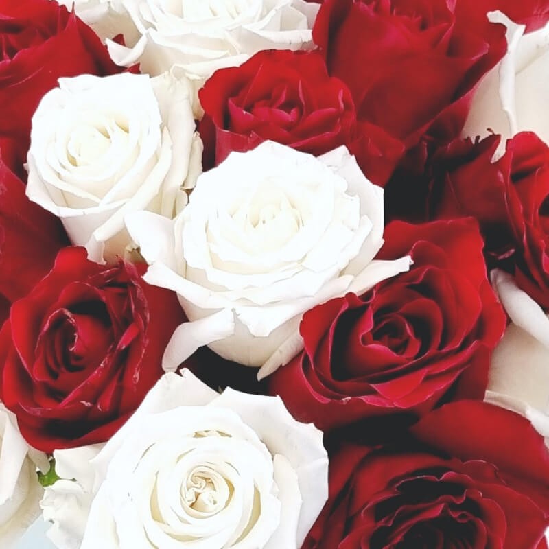 Bouquet Nadia – Roses rouges et blanches d’amour éternel | Bouquets du ...