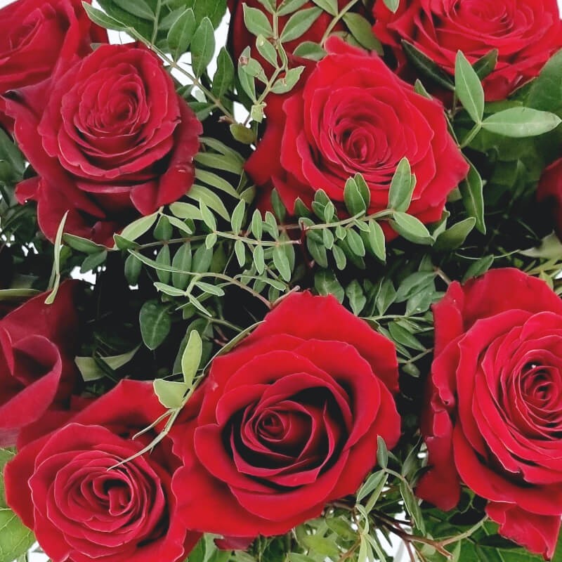 Bouquet Ivanna – Roses rouges d’amour et de passion | Bouquets du Monde