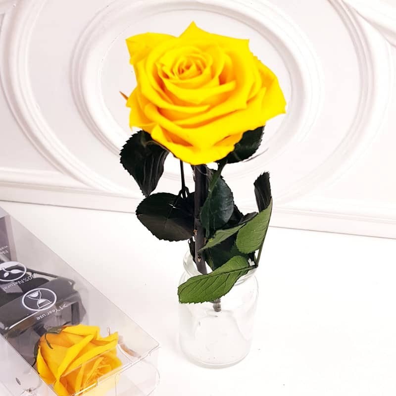 Rose Éternelle Tina | Rose stabilisée premium