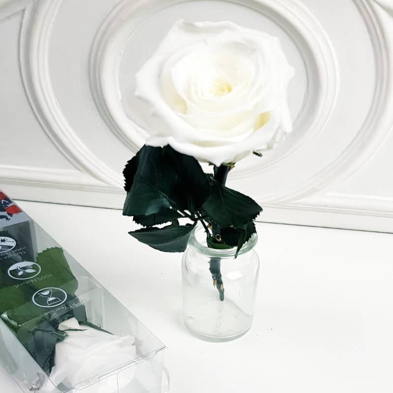 Rose Éternelle Tina | Rose stabilisée premium