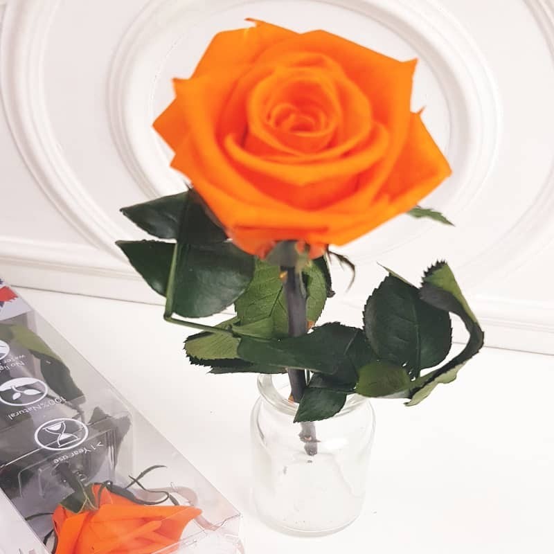 Rose Éternelle Tina | Rose stabilisée premium