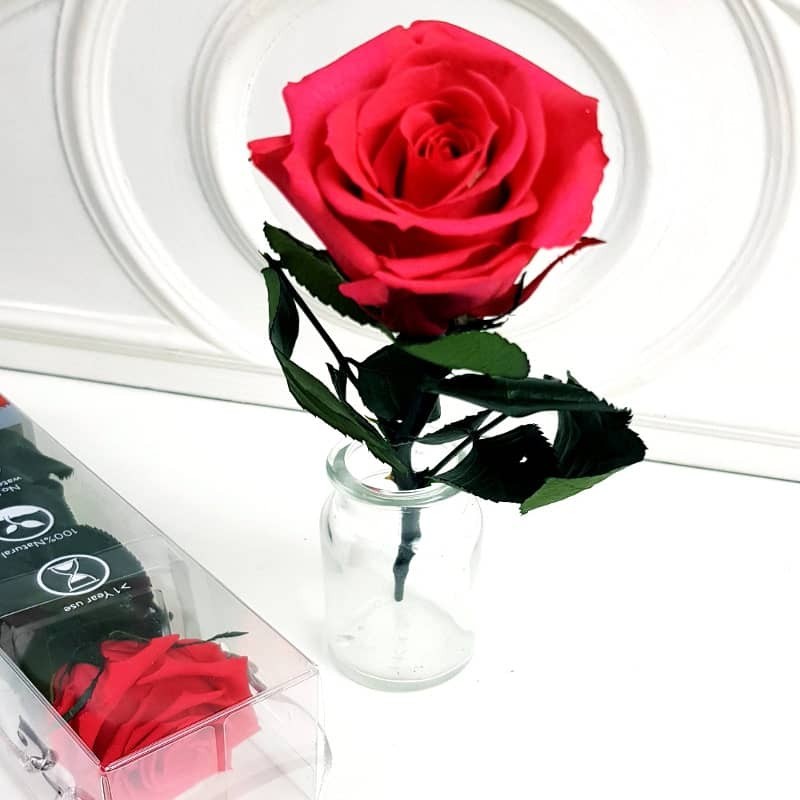 Rose Éternelle Tina | Rose stabilisée premium