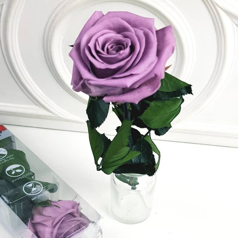 Rose Éternelle Tina | Rose stabilisée premium