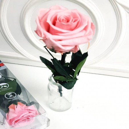 Rose Éternelle Tina | Rose stabilisée premium