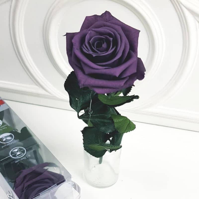 Rose Éternelle Tina | Rose stabilisée premium