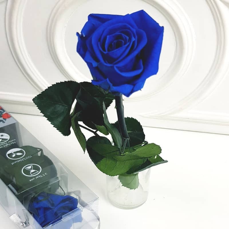 Rose Éternelle Tina | Rose stabilisée premium