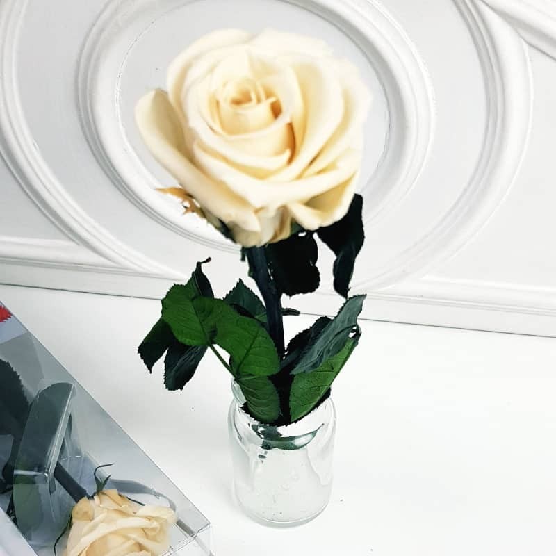 Rose Éternelle Tina | Rose stabilisée premium