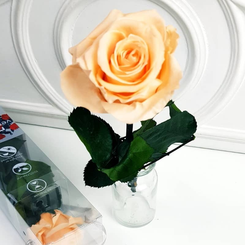 Rose Éternelle Tina | Rose stabilisée premium